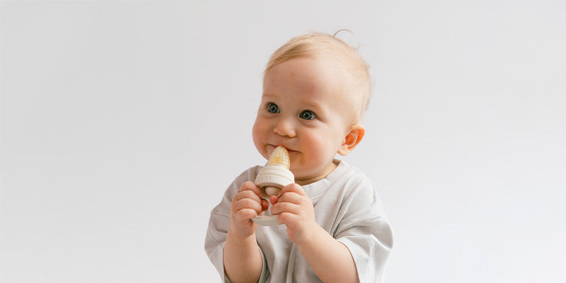 Make Starting on Solids Fun for Your Little One – Bibsworld store US