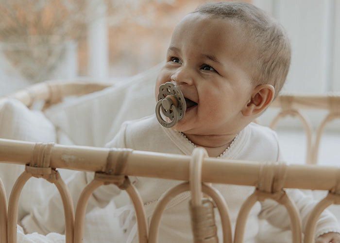 How to Celebrate Baby’s Small Milestones | BIBS Guide – Bibsworld store US